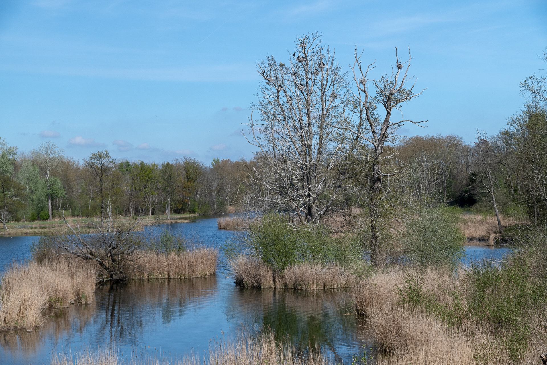 Randonnée découverte des marais le long de l'Essonne le 14 novembre ...