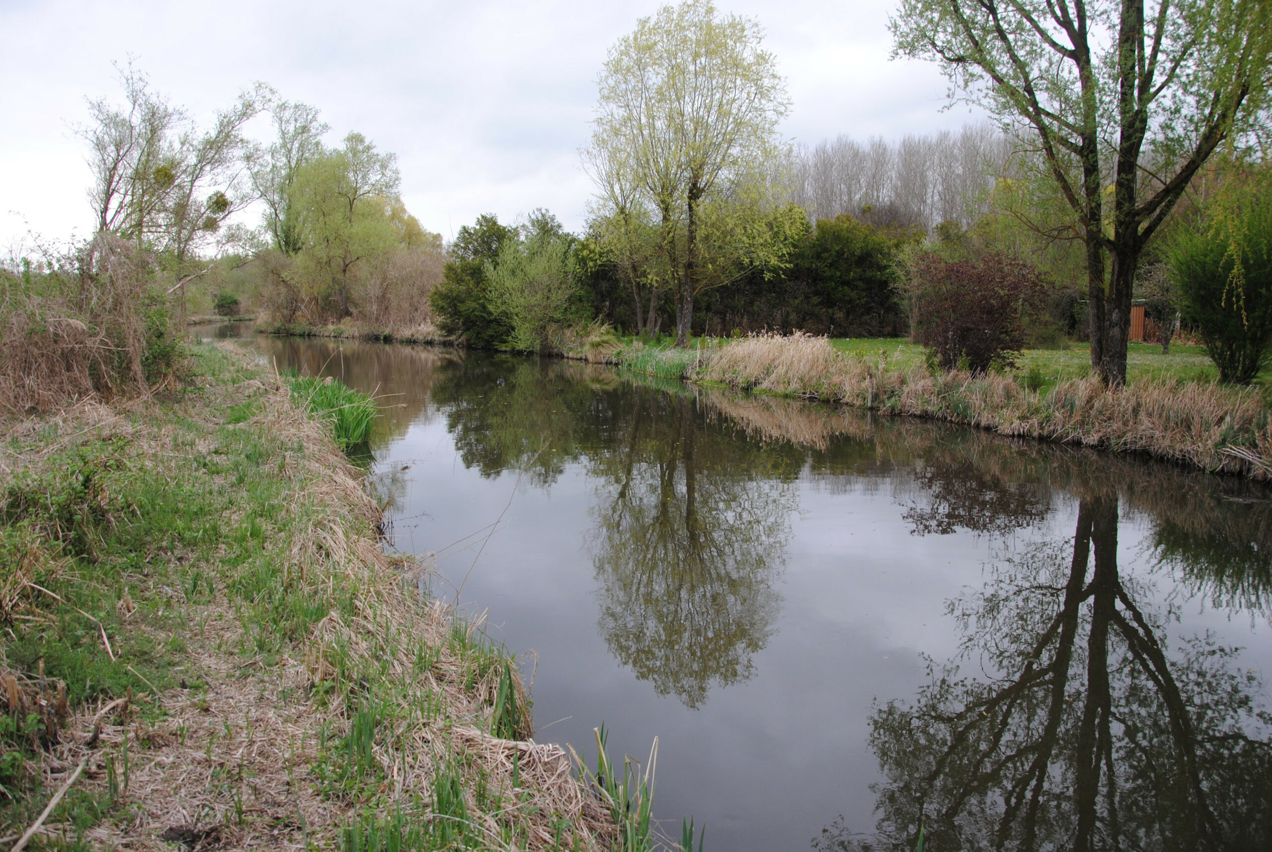 Le Marais de Jarcy : Un Patrimoine Naturel à Préserver - Le Geai ...